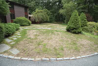 Give Your Lawn a Spring Spruce! - Jerry Baker's Whats Growin' On